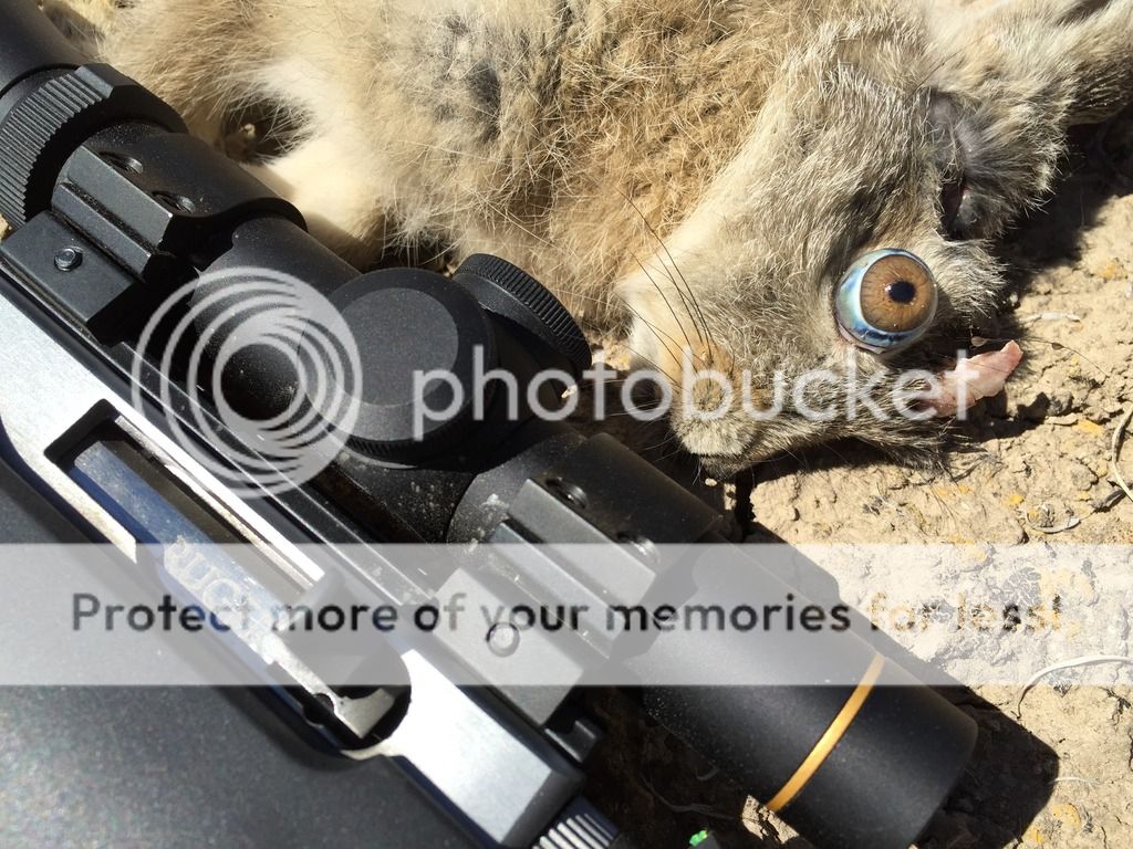 How far will a .22 ricochet? > General Discussion > AR15.COM